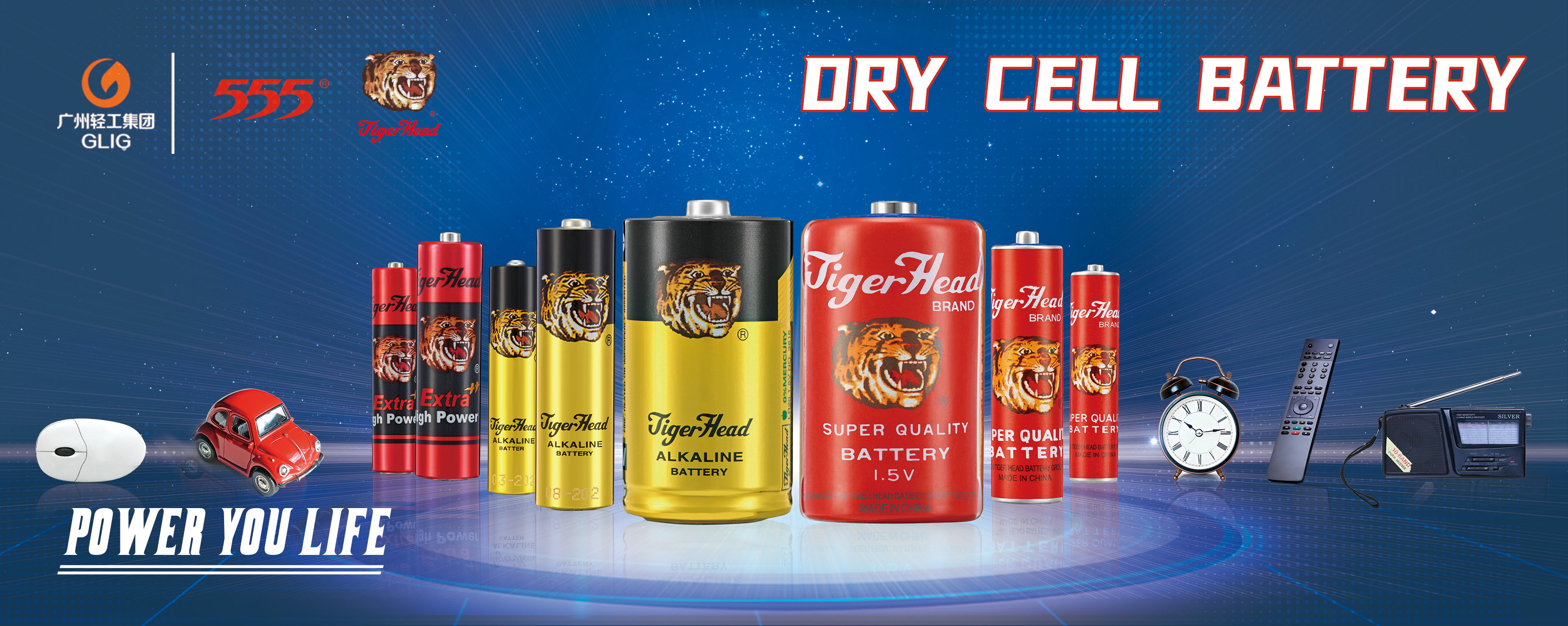 GUANGZHOU TIGER HEAD BATTERY GROUP CO.,LTD Guangzhou